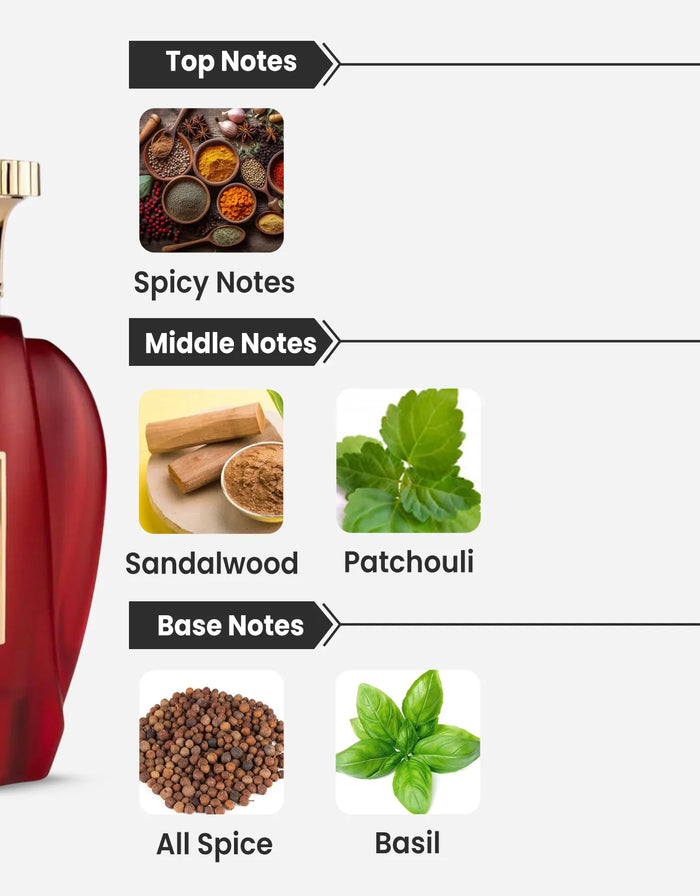 Emir Voux Spices EDP 10ML Decant For Men And Women By Paris Corner – All Arabic